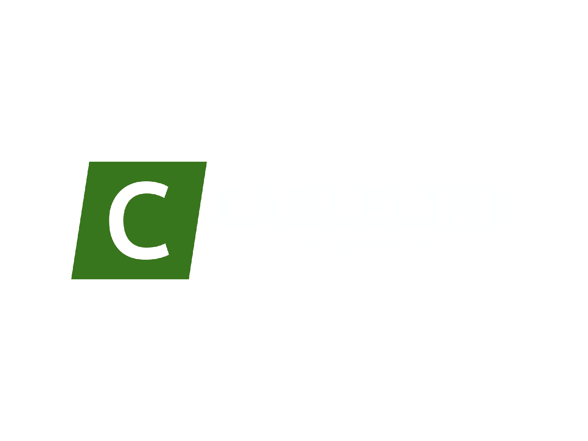 CABLElink Slovakia - Cable assembly